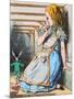 'Alice and the White Rabbit. Illustration by John Tenniel from the ...