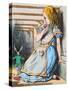'Alice and the White Rabbit. Illustration by John Tenniel from the ...