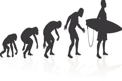 'Evolution of the Surfer' Prints - jorgenmac | AllPosters.com