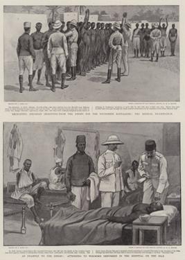 Joseph Nash Posters, Prints, Paintings & Wall Art | AllPosters.com