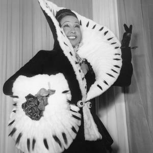 Josephine Baker Posters, Prints, Paintings & Wall Art for Sale ...