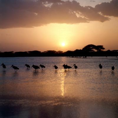 'Juba River. Sunset' Giclee Print | AllPosters.com