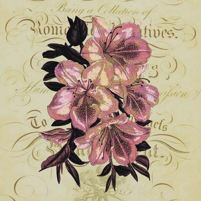 'Cotillion Flowers 2' Prints - Julia Frost | AllPosters.com