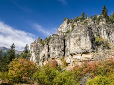 'USA, Utah. Fall color with aspens along Logan Canyon.' Photographic ...