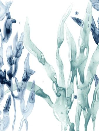 'Blue Kelp II' Print - June Vess | AllPosters.com