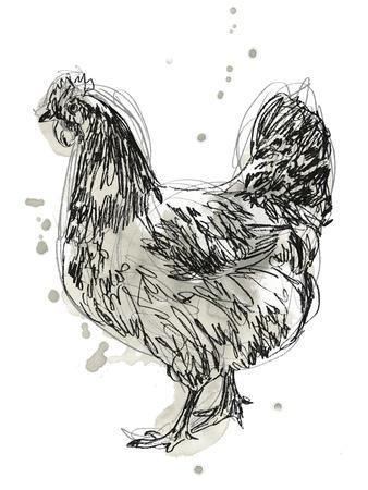 'Feathered Fowl IV' Art - June Vess | AllPosters.com