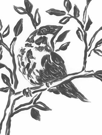 Onyx Bird Branch III - June Vess | AllPosters.com