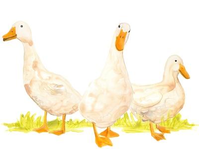 'Quack Squad I' Prints - June Vess | AllPosters.com