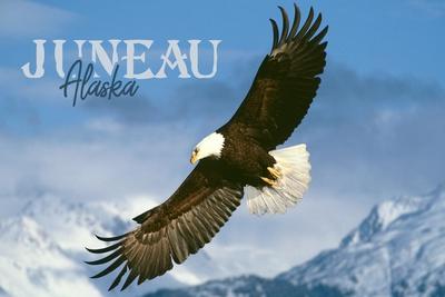 'Juneau, Alaska - Eagle Soaring - Lantern Press Photography (James T ...