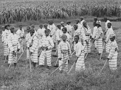 'Juvenile Southern Chain Gang Convicts at Work in the Fields, Ca. 1903 ...