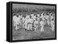 'Juvenile Southern Chain Gang Convicts at Work in the Fields, Ca. 1903 ...
