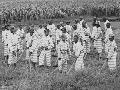 Juvenile Southern Chain Gang Convicts at Work in the Fields, Ca. 1903 ...