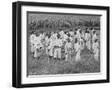 Juvenile Southern Chain Gang Convicts at Work in the Fields, Ca. 1903 ...