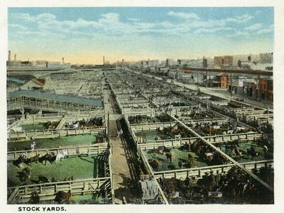 'Kansas City, Missouri - General View of the Stockyards' Print ...