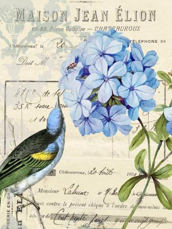 'Vintage Aviary II' Posters - Karen Smith | AllPosters.com