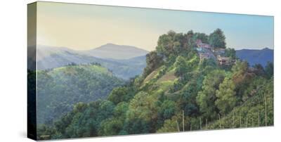 'Paramin' Stretched Canvas Print - Karen Sylvester | AllPosters.com