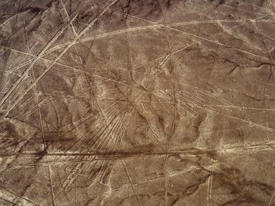 'The Condor Geoglyph, aerial view, Nazca, UNESCO World Heritage Site ...