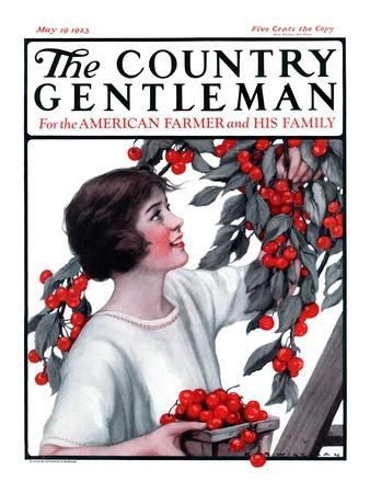 '"Dressing Doggie," Country Gentleman Cover, March 24, 1923' Giclee ...