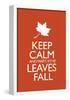 'Keep Calm and Watch the Leaves Fall Poster' Photo | AllPosters.com