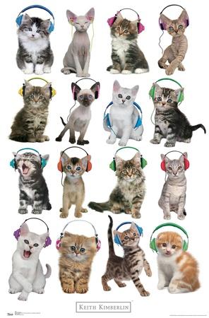 'Keith Kimberlin - Kittens - Headphones' Posters - Trends International ...