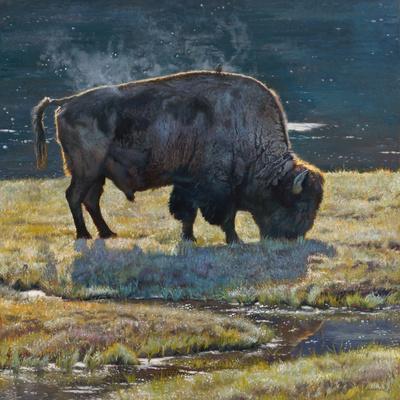 'Morning in Yellowstone' Giclee Print - Kelly Singleton | AllPosters.com