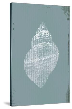 'Ocean Fade - Shell' Stretched Canvas Print - Ken Hurd | AllPosters.com