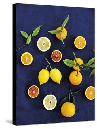 Sicilian Citrus Fruit Stretched Canvas Print - Ken Scicluna ...