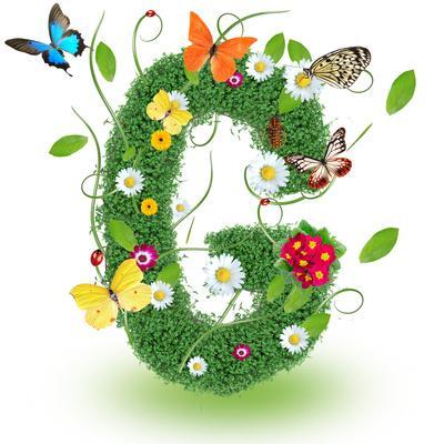 'Beautiful Spring Letter "G"' Prints - Kesu01 | AllPosters.com
