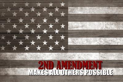 '2nd Amendment V2' Prints - Kimberly Allen | AllPosters.com