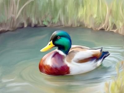 Peaceful Swim - Kimberly Allen | AllPosters.com
