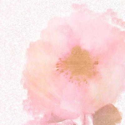 'Soft Light Pink 2' Art - Kimberly Allen | AllPosters.com