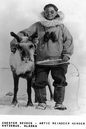 'Kotzebue, Alaska - Chester Seveck, Arctic Reindeer Herder' Art ...