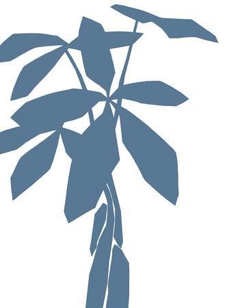 Leaf Likeness - Money Plant Giclee Print - Kristine Hegre | AllPosters.com
