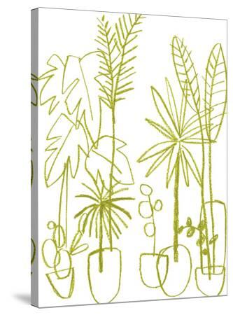 'Naive Plants - Grow' Stretched Canvas Print - Kristine Hegre ...