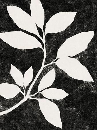 'Plant Portrayal - Basil' Giclee Print - Kristine Hegre | AllPosters.com