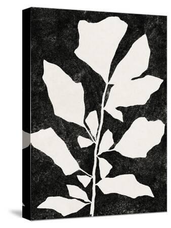 'Plant Portrayal - Fishtail Palm' Stretched Canvas Print - Kristine ...