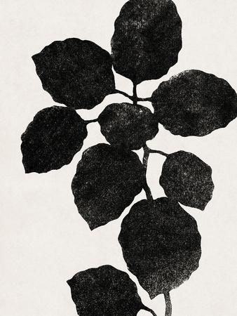 Plant Portrayal - Oregano Giclee Print - Kristine Hegre | AllPosters.com