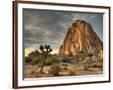 Sunset at Joshua Tree National Park in Southern California Photographic ...