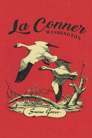 'La Conner, Washington - View of a Pair of Snow Geese Flying - Vintage ...