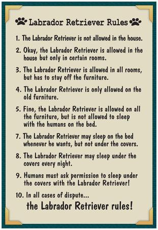 'Labrador Retreiver House Rules' Posters | AllPosters.com