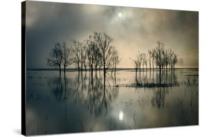 'Lake's Secret' Stretched Canvas Print | AllPosters.com
