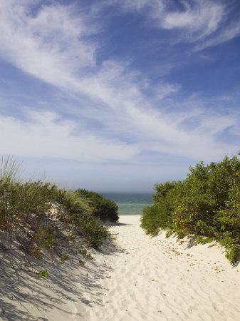 'Lambert's Cove Beach, North Tisbury, Martha's Vineyard, Massachusetts ...