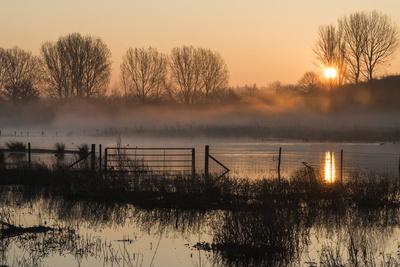 'Landscape of Lake in Mist with Sun Glow at Sunrise' Photographic Print ...