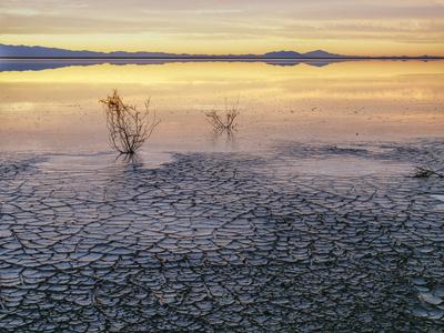 'Landscape with view of Willcox Playa Wildlife Area at sunset, Arizona ...