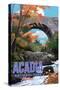 Acadia National Park, Maine - Stone Bridge Illustration - Lantern Press ...