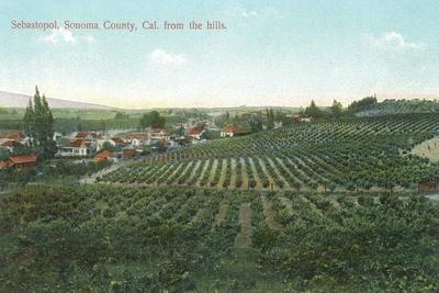 'Aerial View of Town, Sonoma County from the Hills - Sebastopol, CA ...