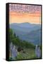 'Blue Ridge Georgia - Bear Family and Spring Flowers' Stretched Canvas ...