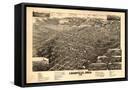 'Colorado - Panoramic Map of Leadville No. 2' Art - Lantern Press ...