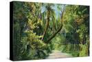 'Florida - Overgrown Vegetation Scene' Poster - Lantern Press ...