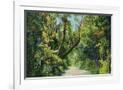'Florida - Overgrown Vegetation Scene' Poster - Lantern Press ...